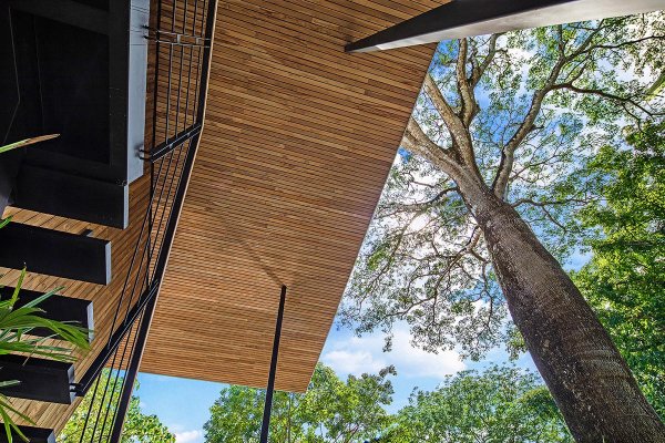 Raintree House | Nosara, Costa Rica - StudioSaxe