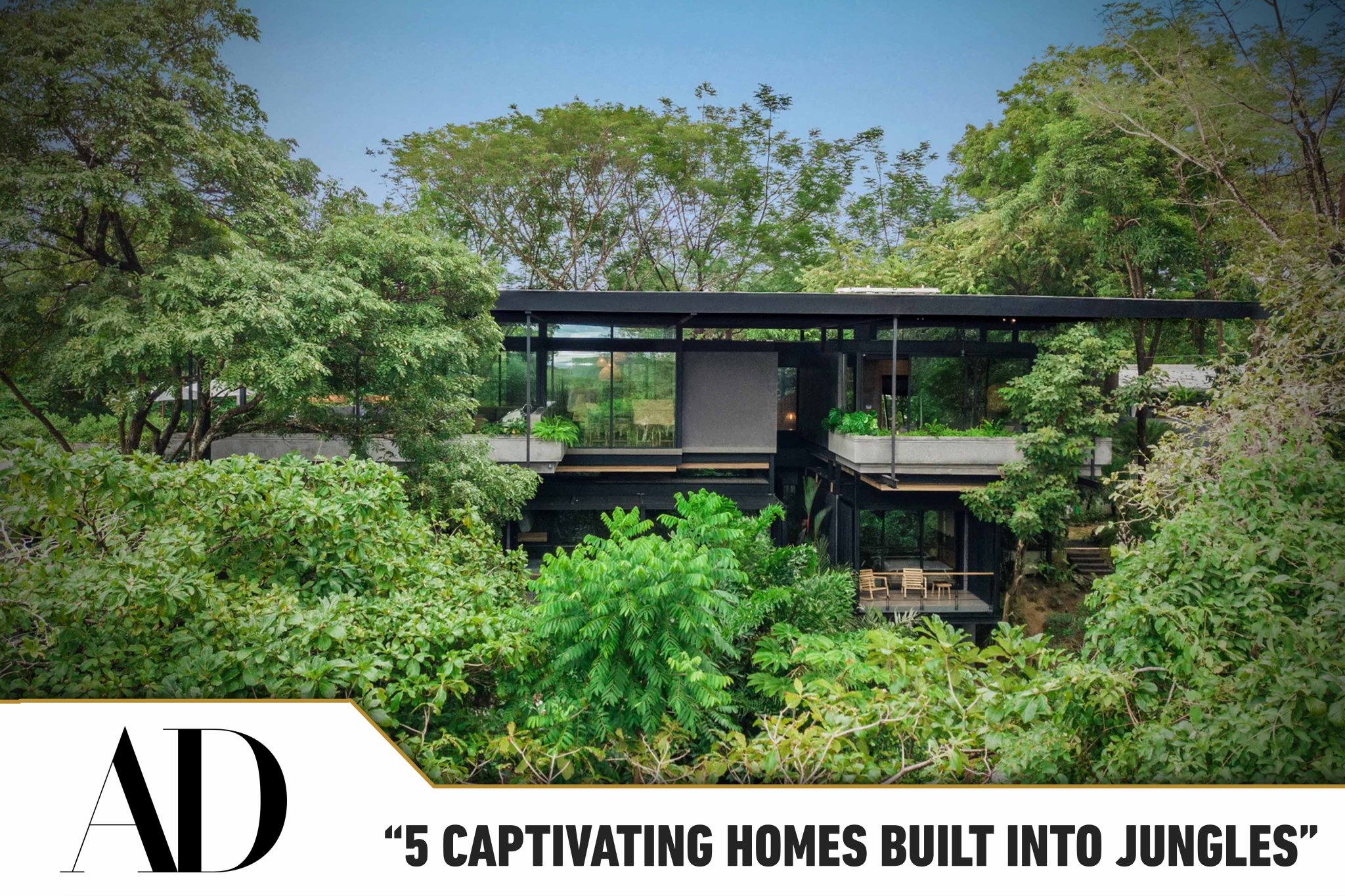 Rainforest House in Architectural Digest - StudioSaxe