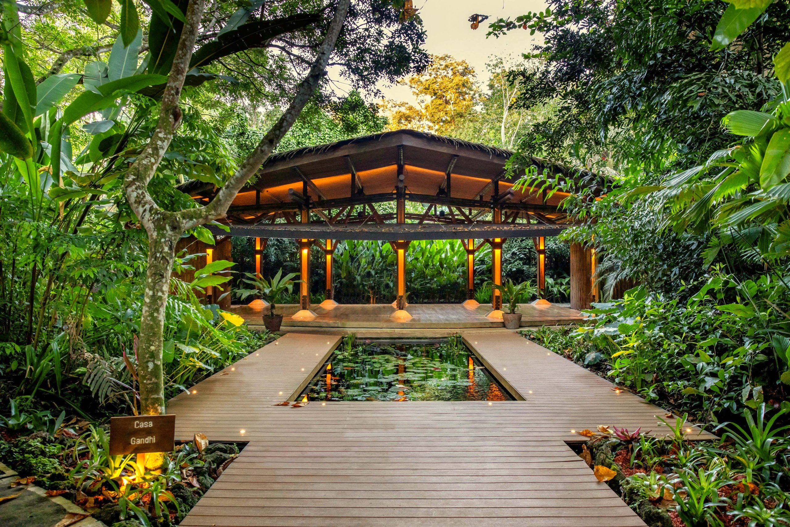 StudioSaxe_AguasClaras_015_(Color_Correction_&_tree) - StudioSaxe